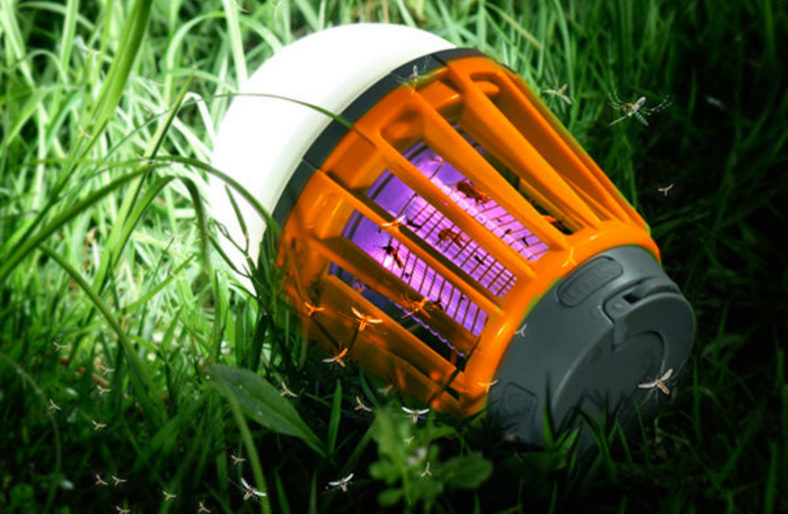 NightBuddy™ Bug Bulb 2 in 1